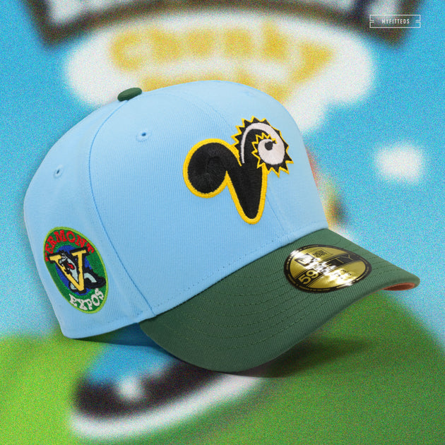 VERMONT EXPOS BEN AND JERRY'S X NIKE SB CHUNKY DUNKY INSPIRED NEW ERA ...