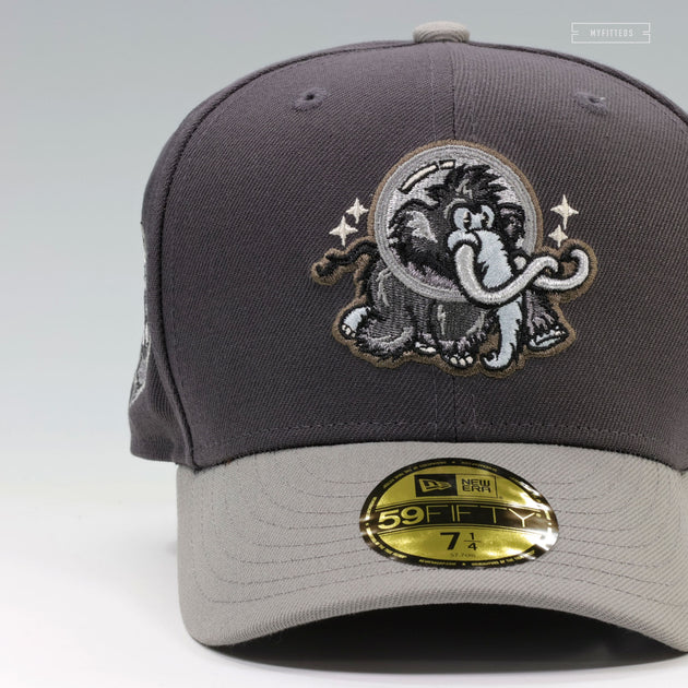 ERIE SEAWOLVES X MOON MAMMOTHS 30 SEASONS LUNAR MOON DUST NEW ERA FITT ...