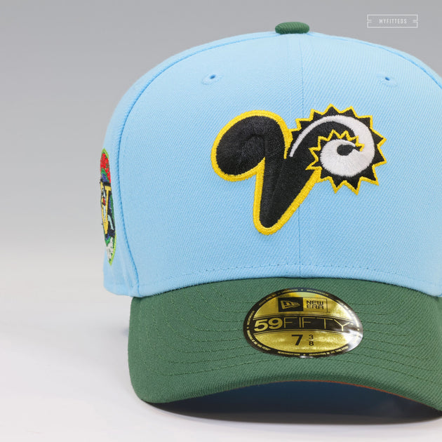 VERMONT EXPOS BEN AND JERRY'S X NIKE SB CHUNKY DUNKY INSPIRED NEW ERA ...